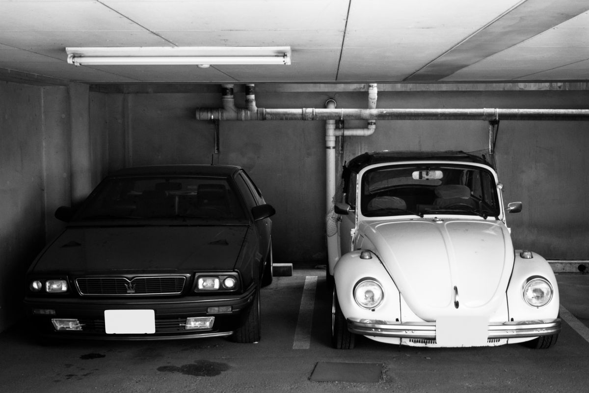 Maserati&Beetle | GANREF