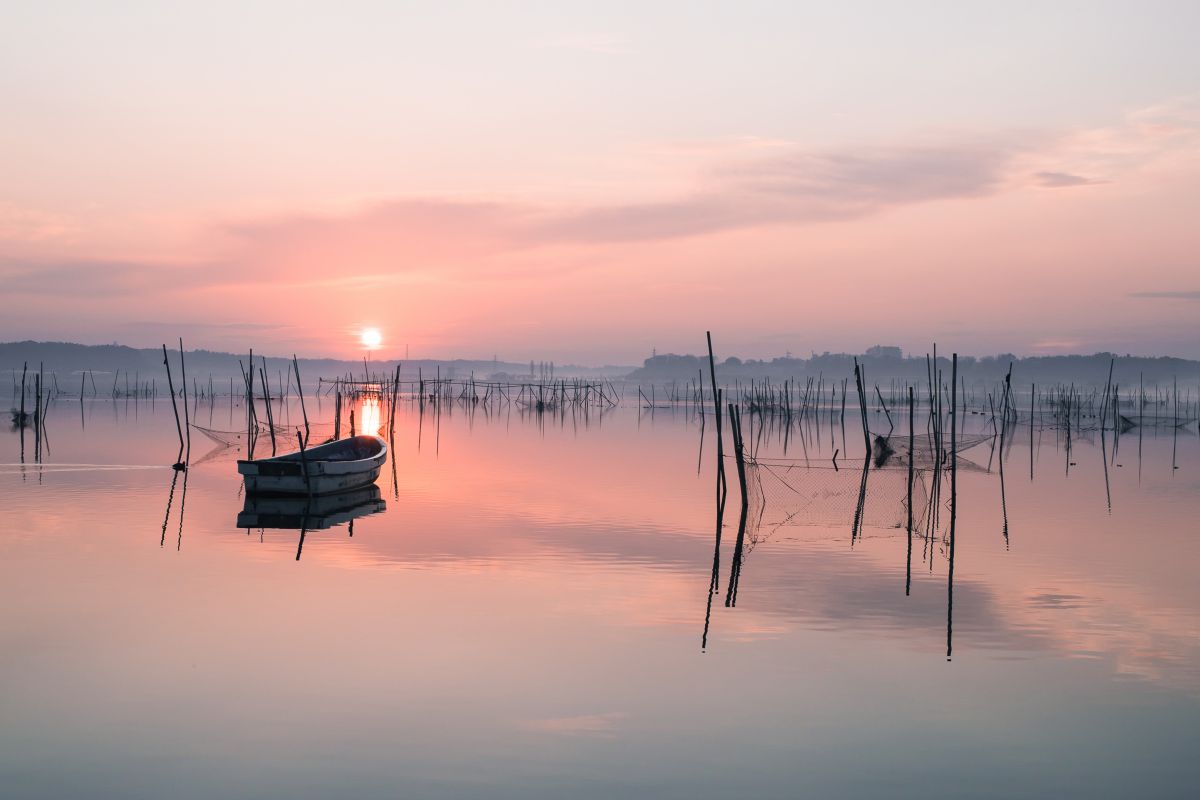 Gradation III | GANREF