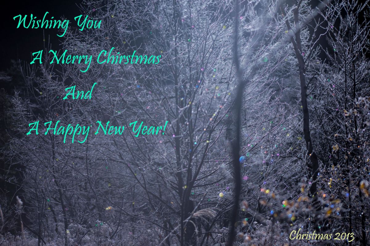 Season's Greeting | GANREF