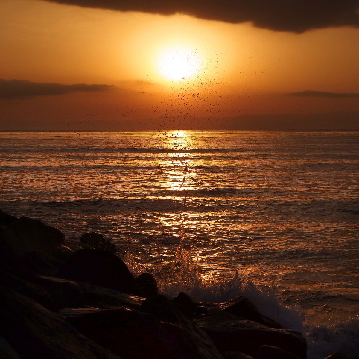 Splash on the setting sun! | GANREF