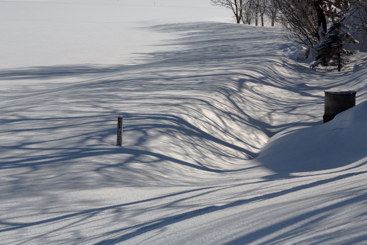 The flowing shadow | GANREF