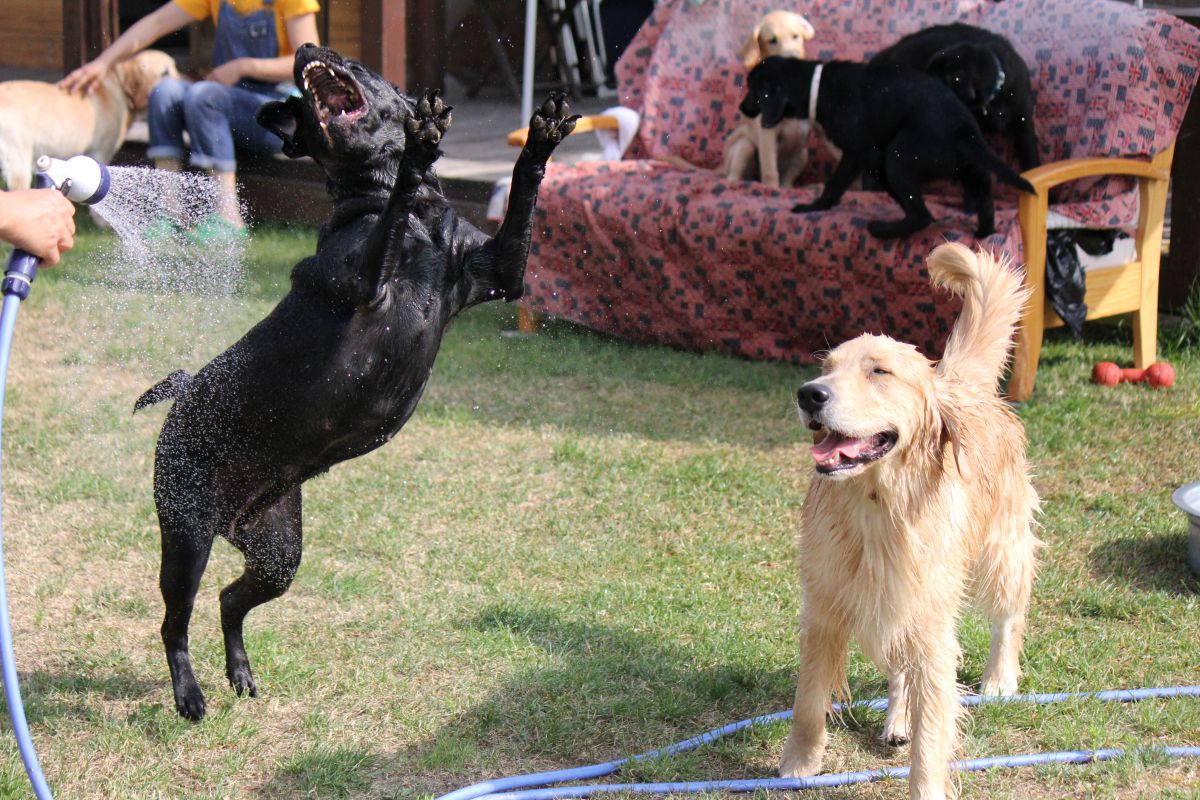 ひめ跳ぶ | GANREF