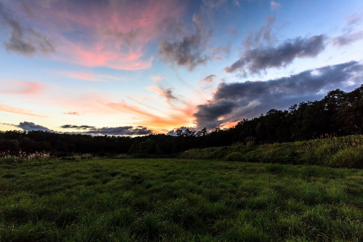 ドラマチックに 終章 | GANREF