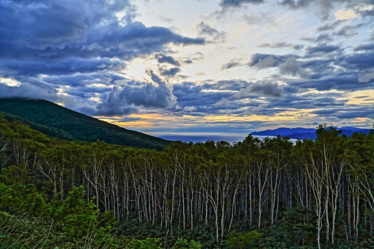 碧き雲と海 | GANREF