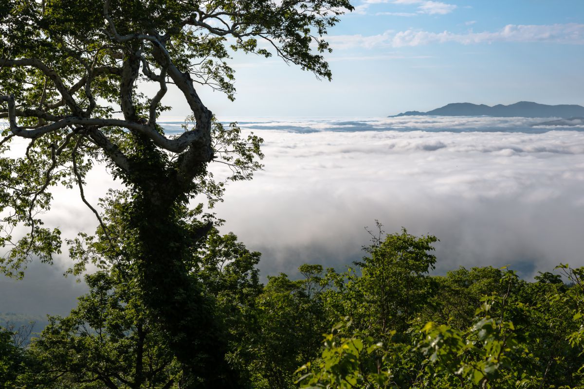 迫りくる雲海 | GANREF