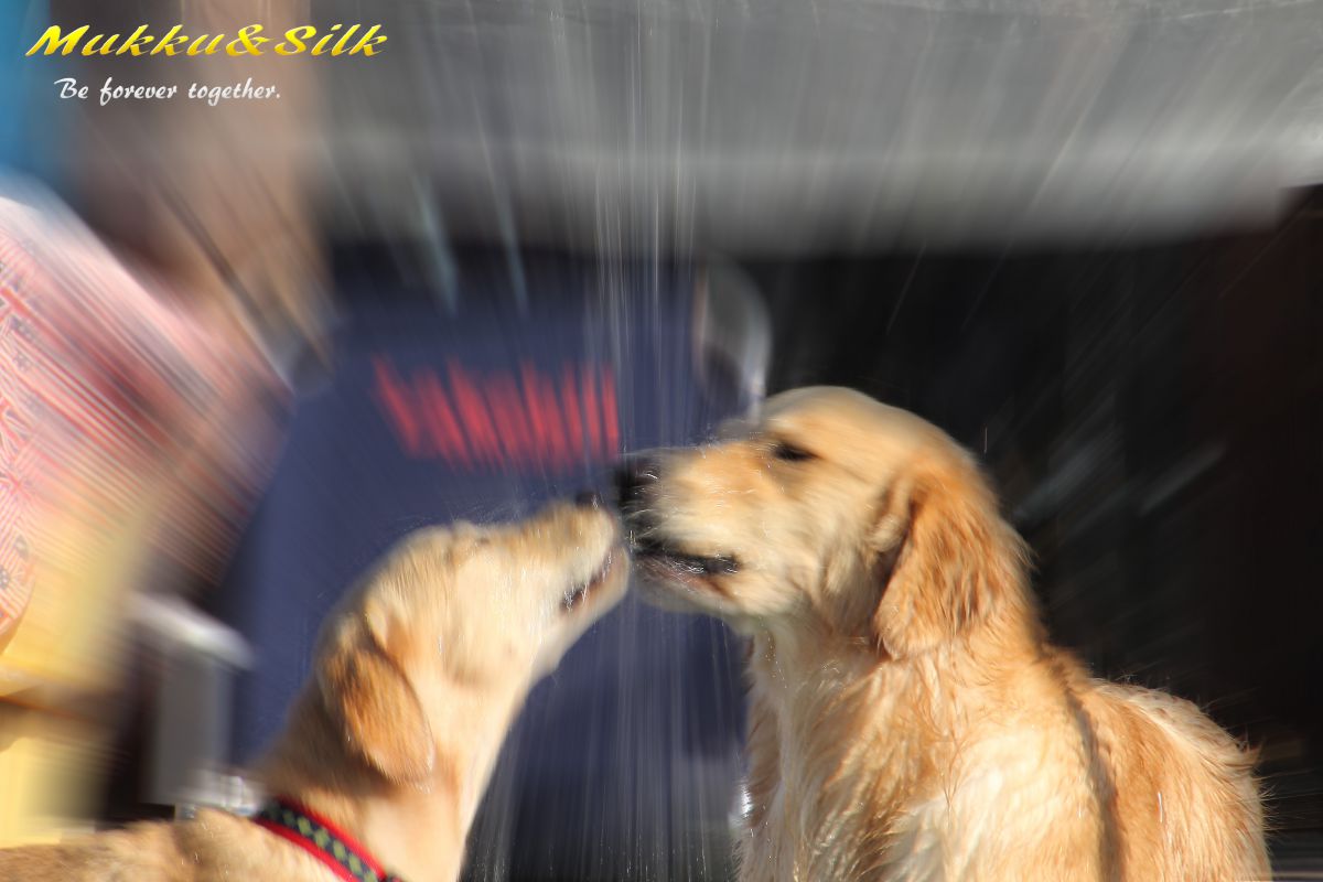 絶対負けない！！終 | GANREF