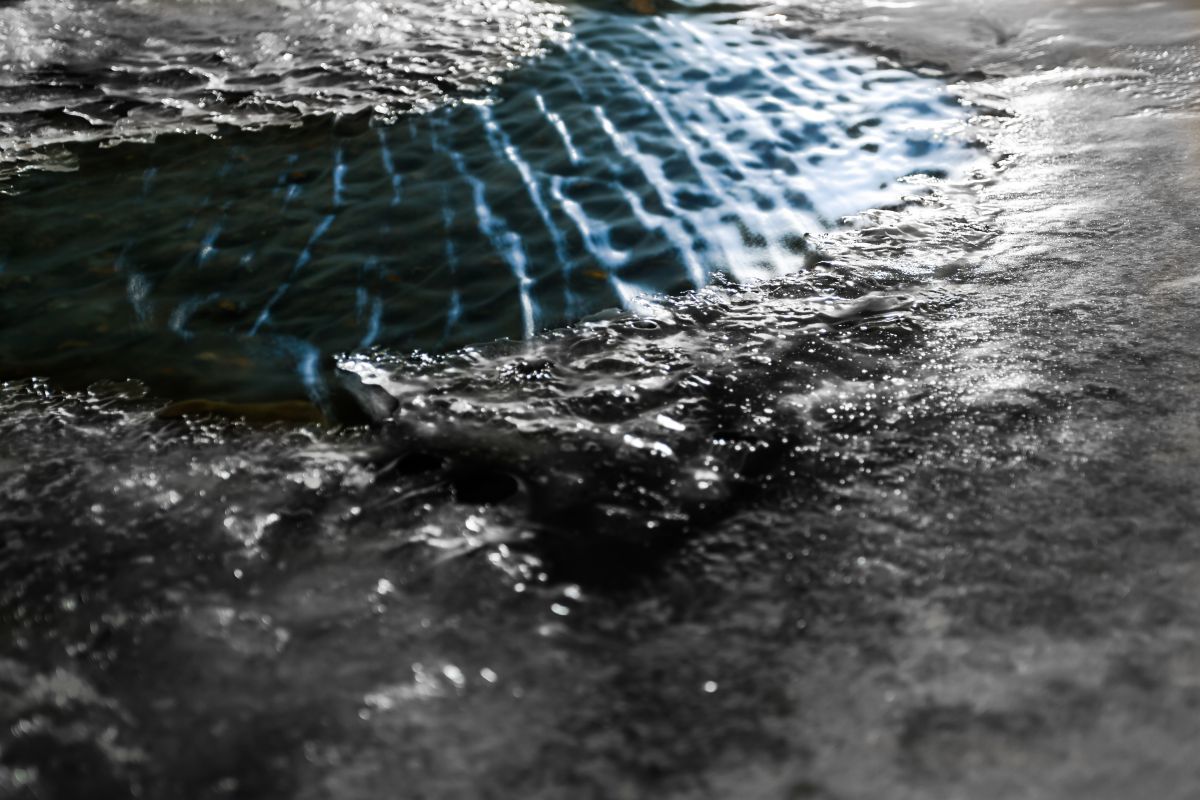 The river in ice | GANREF