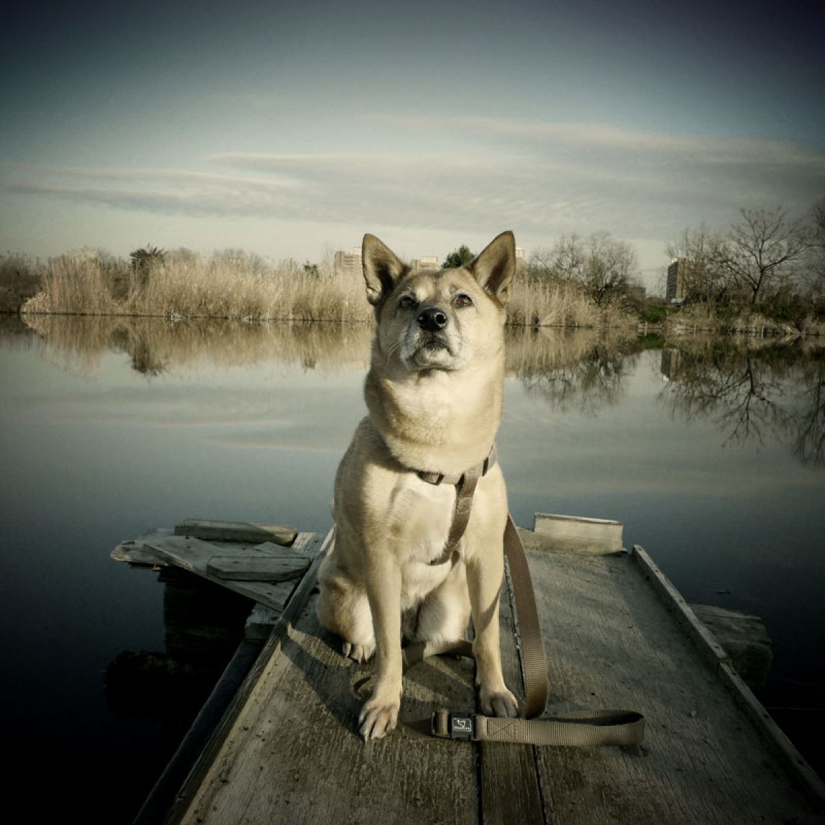 愛しい子#3 | GANREF