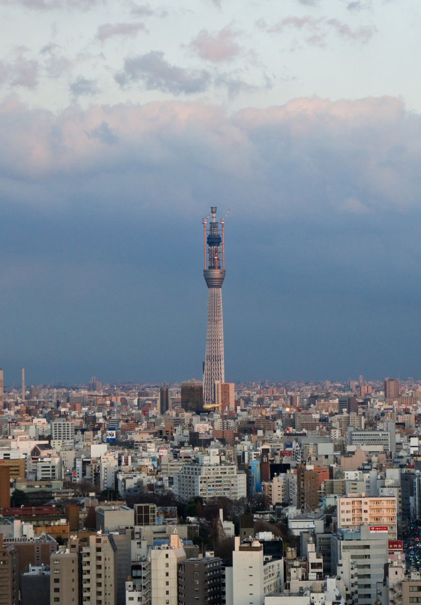 Sky Tree | GANREF