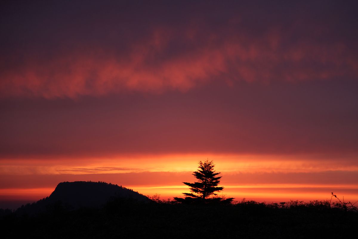 Flames of sunset! | GANREF