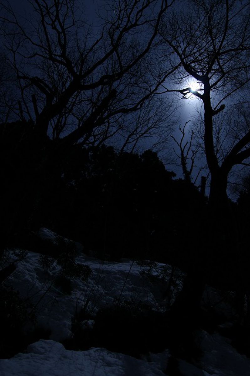 Monster Tree | GANREF