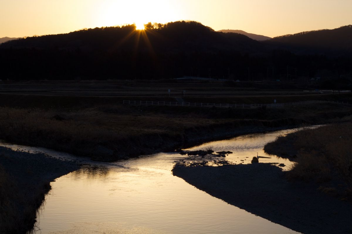 Gold Evening | GANREF