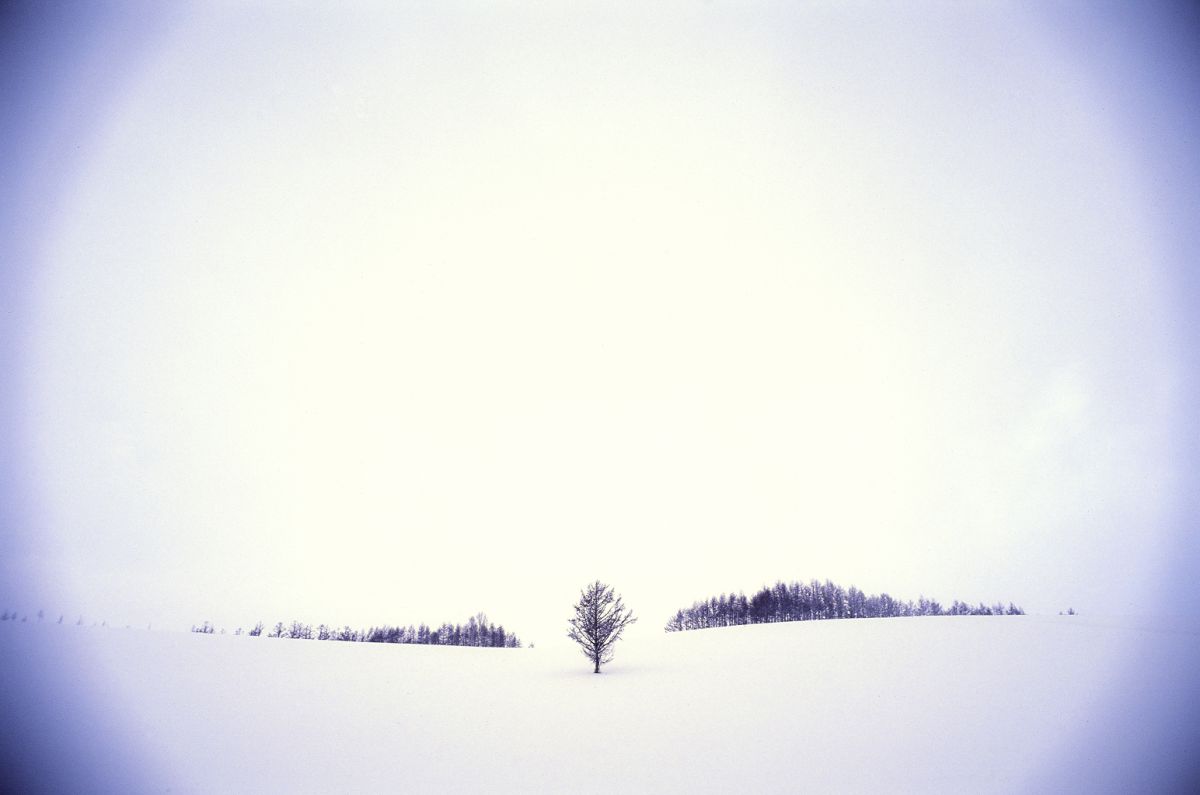 White Out.jpg | GANREF