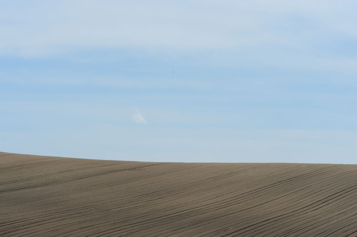 大地の縞模様 | GANREF