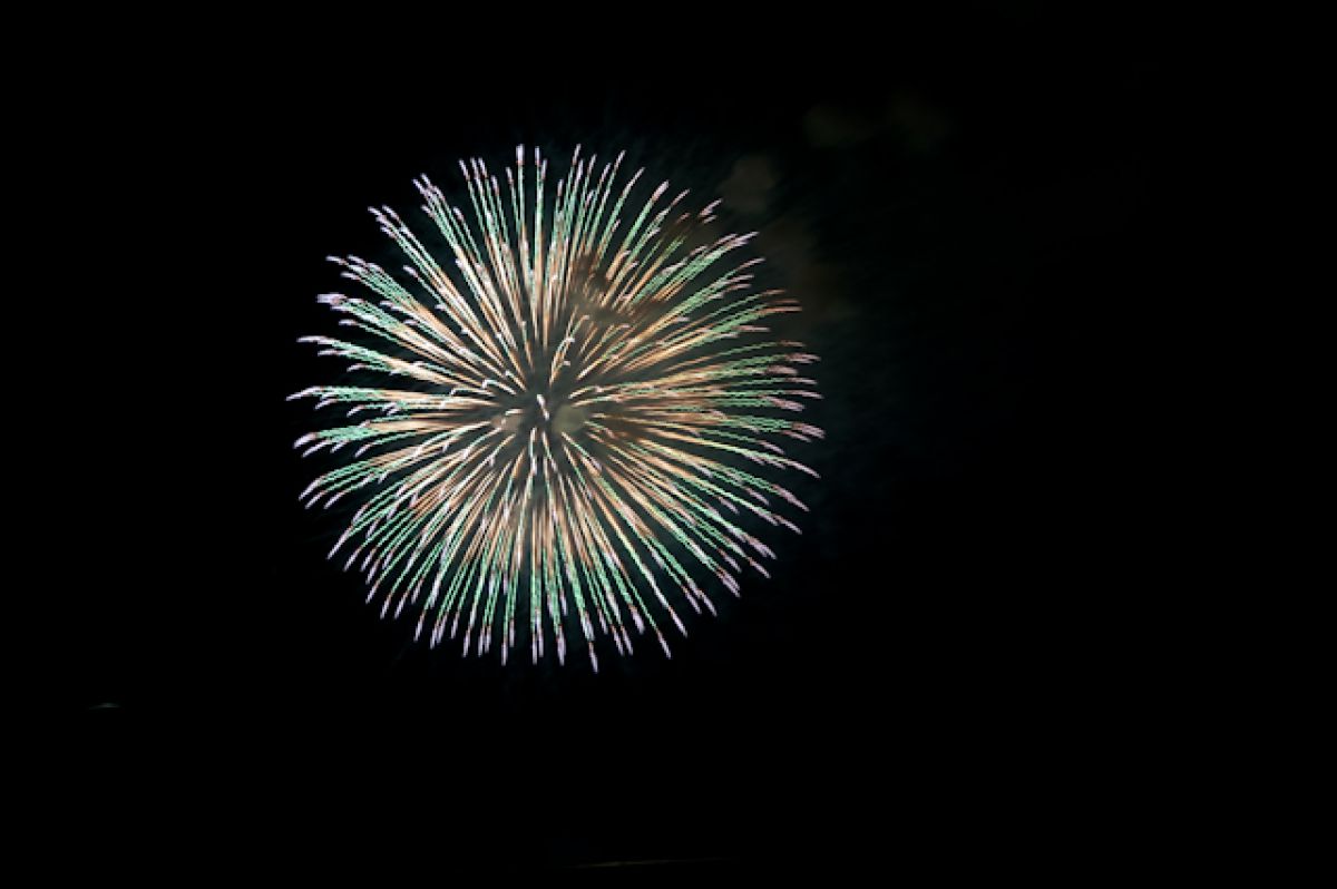 Fire Flower1 | GANREF