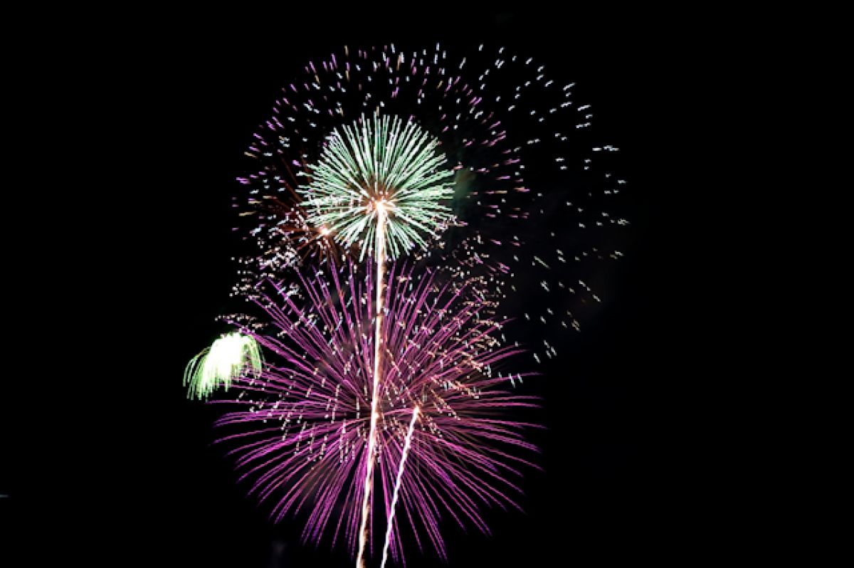 Fire Flower4 | GANREF