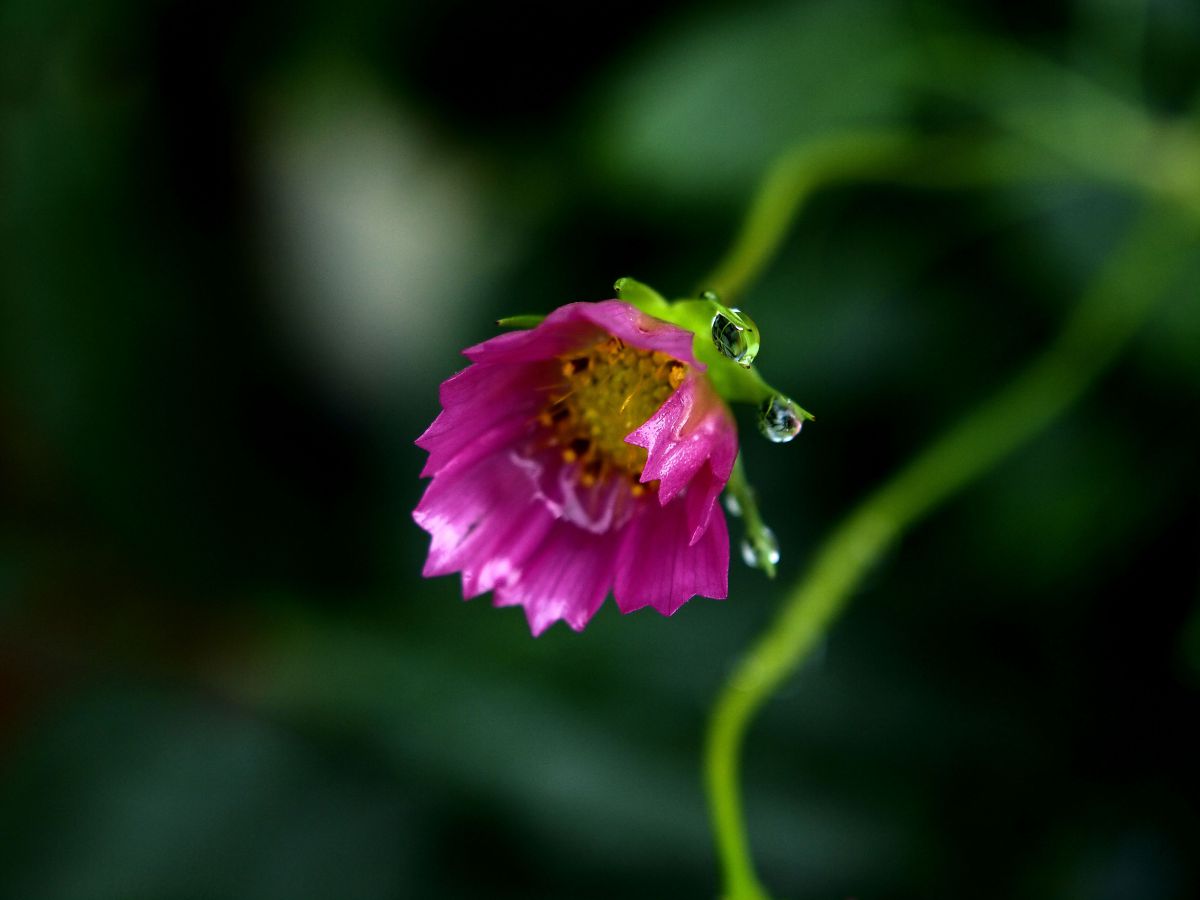 After a shower NO2 | GANREF