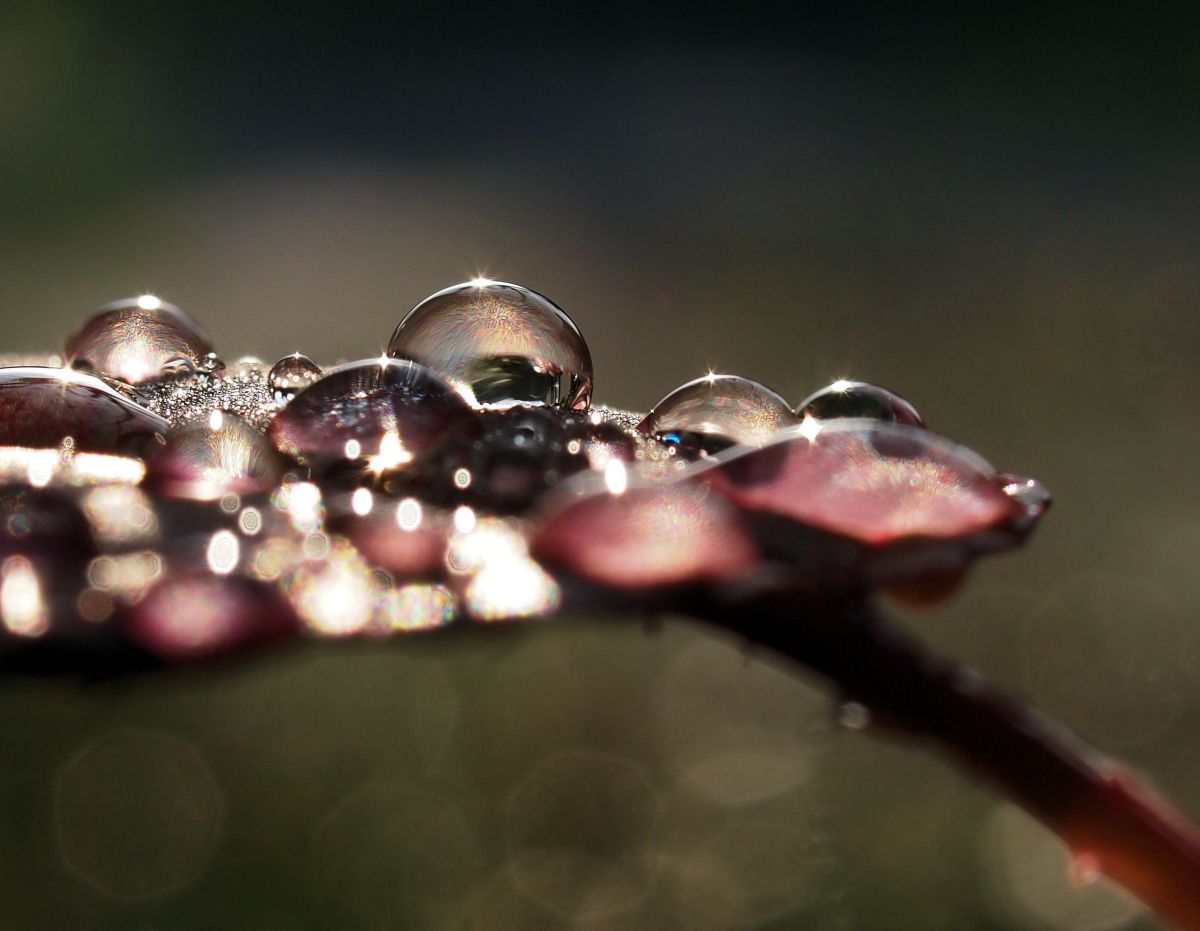 AM6：30 三日ぶりの朝日！ | GANREF