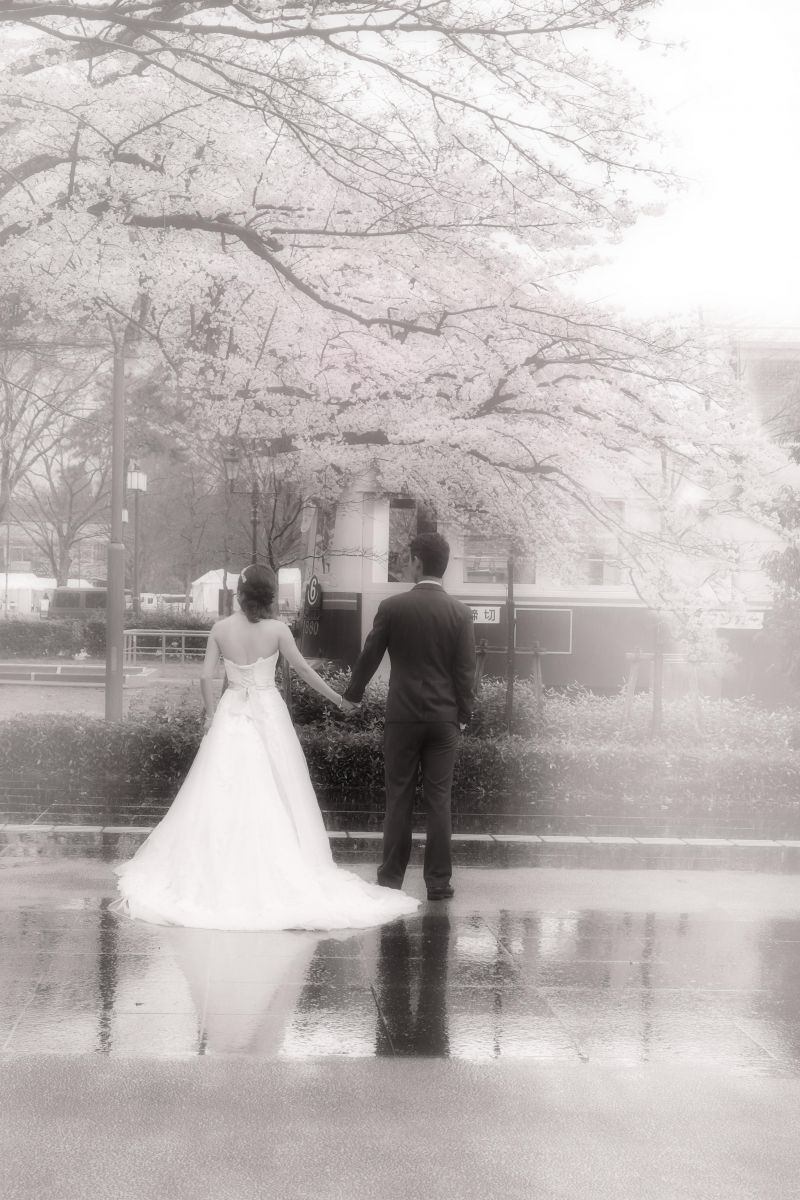 Photo wedding | GANREF