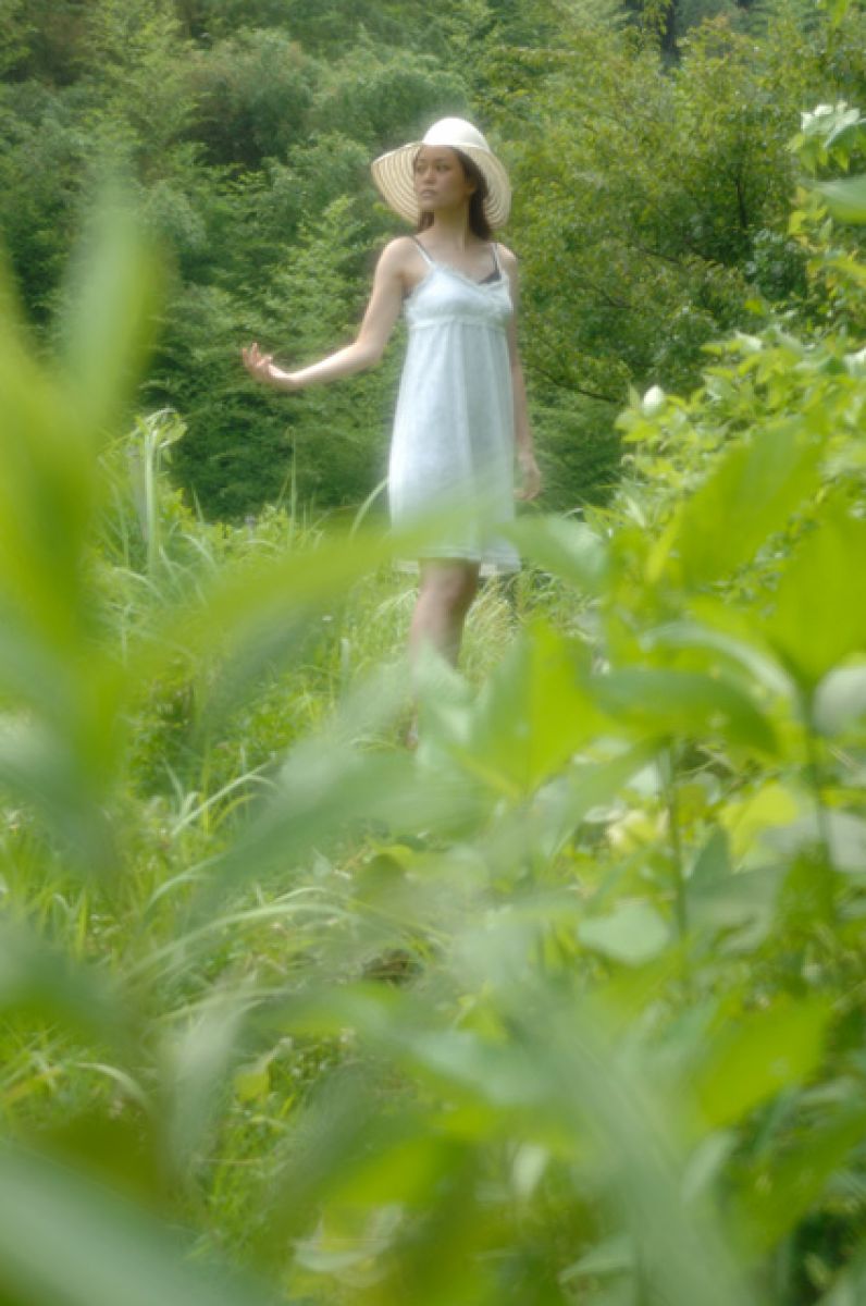 夏の日10 | GANREF