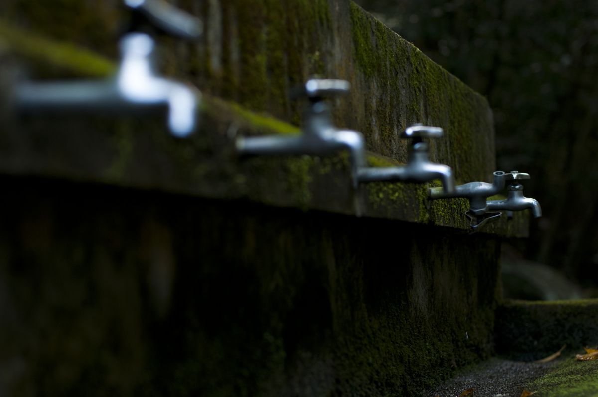 ひねくれもの | GANREF