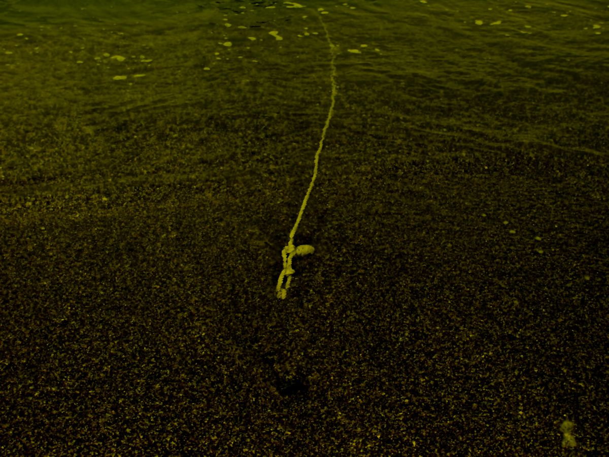 yellow rope | GANREF