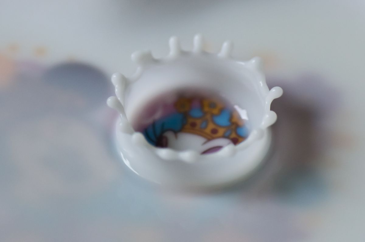 Crown in Crown | GANREF