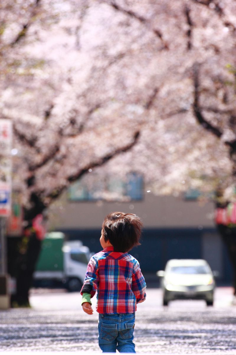 Browin' in the wind | GANREF