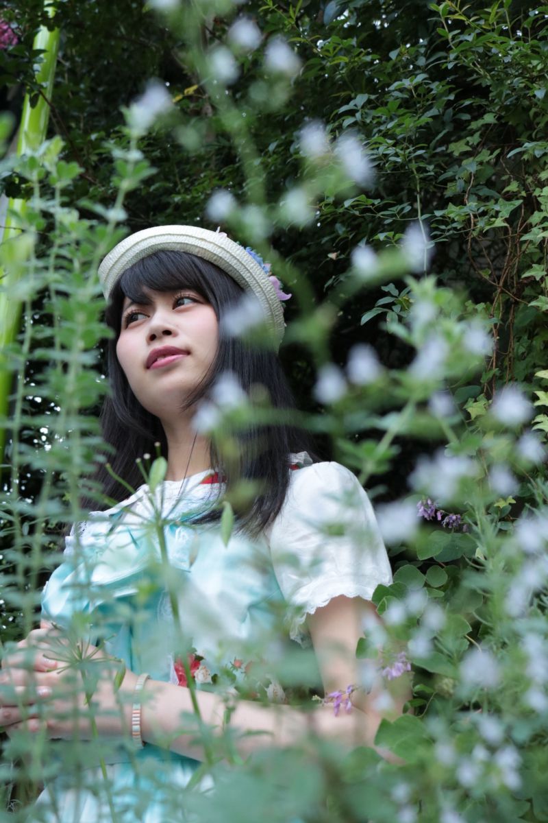 もりのなかへ | GANREF