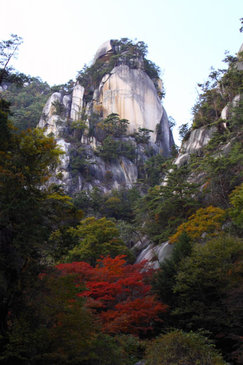 2010 紅葉3 | GANREF