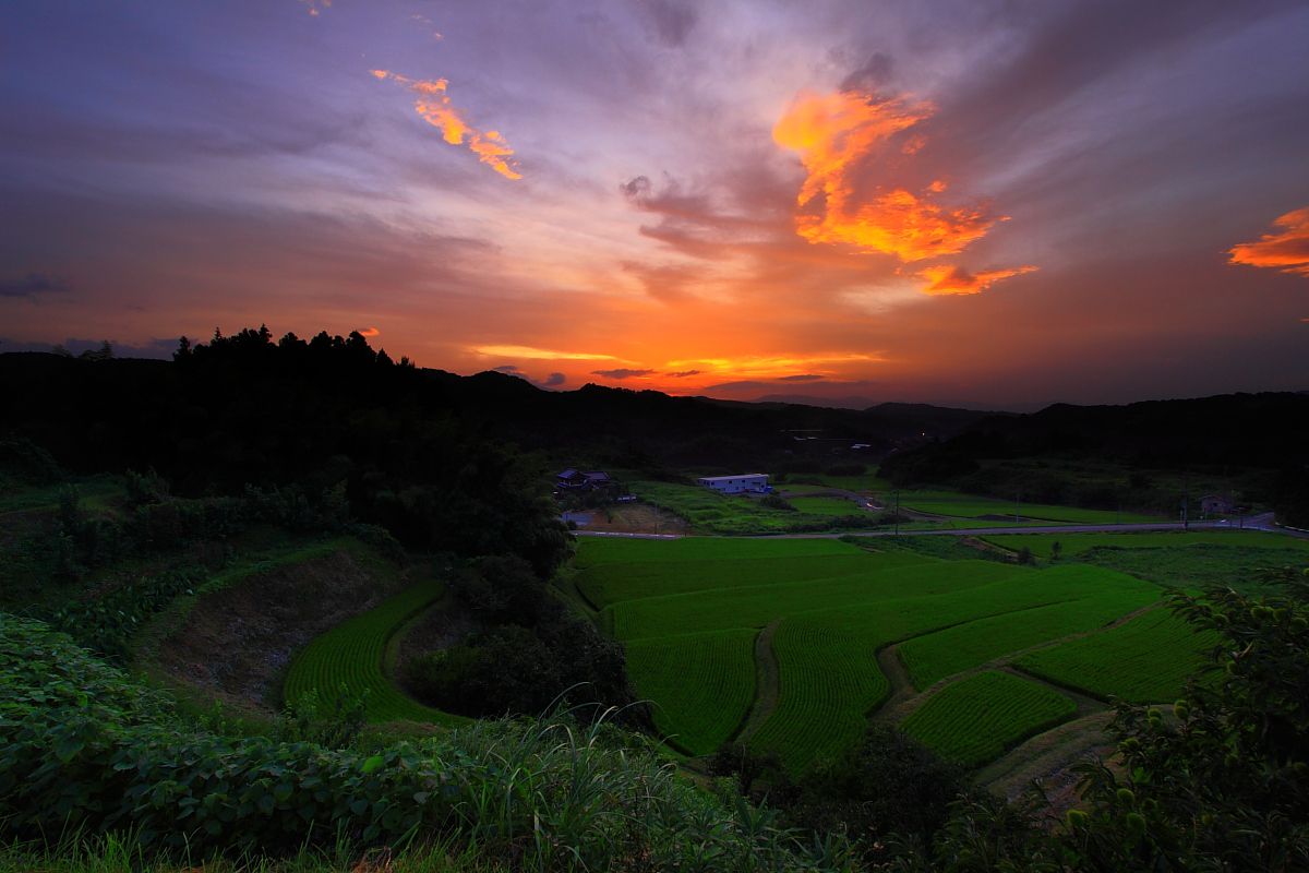 棚田の夕景 | GANREF