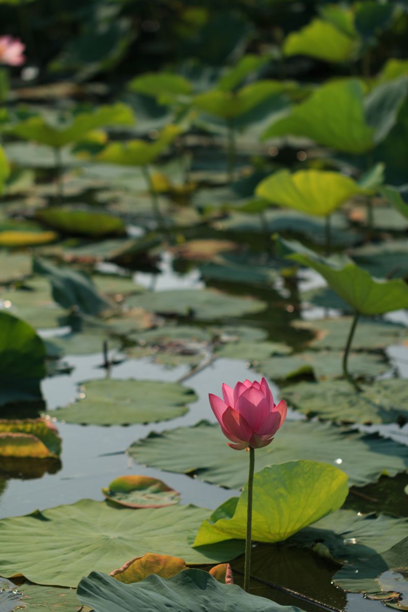 もう終わり | GANREF