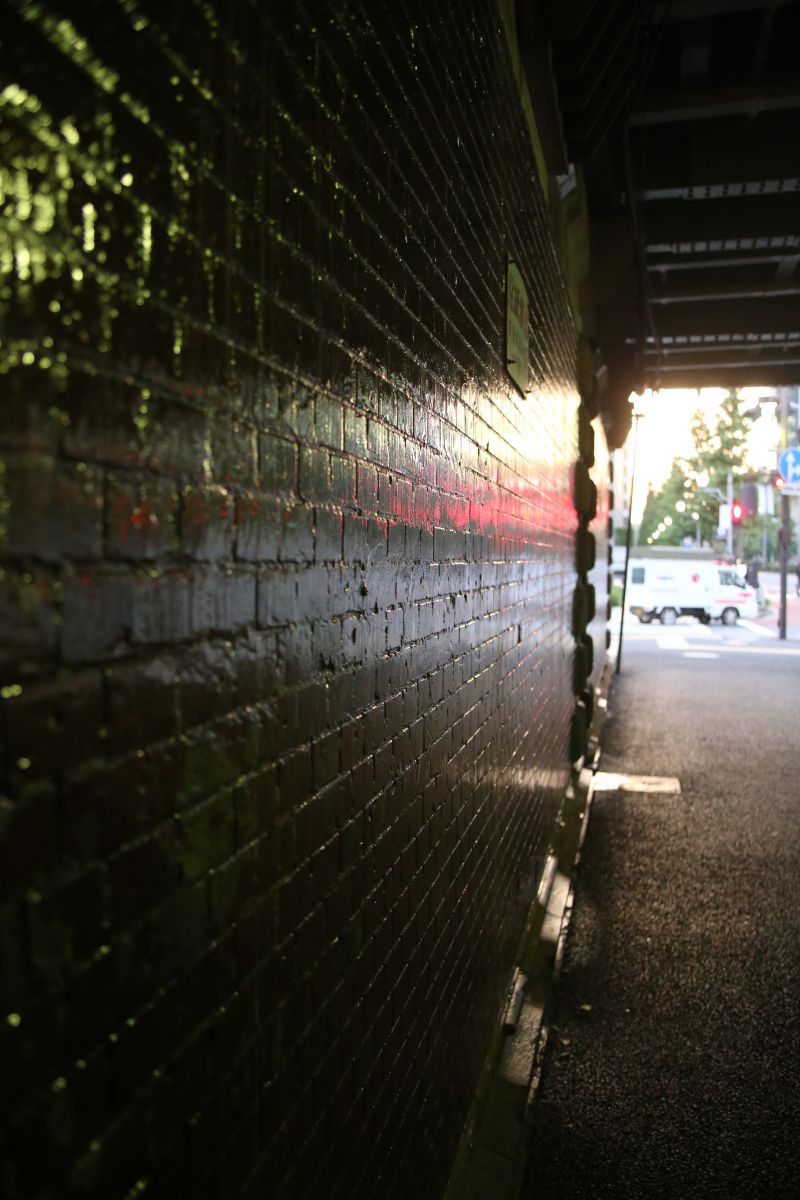 1DX テスト3 | GANREF