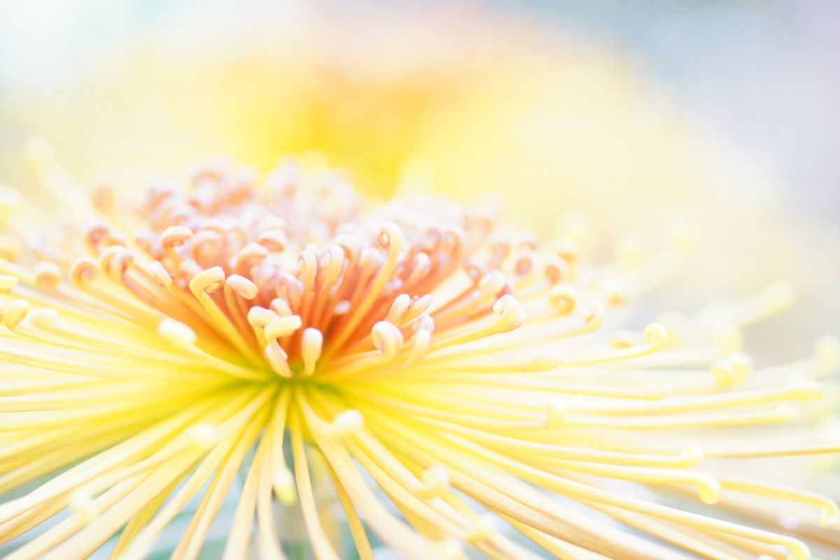 fireworks in fall | GANREF