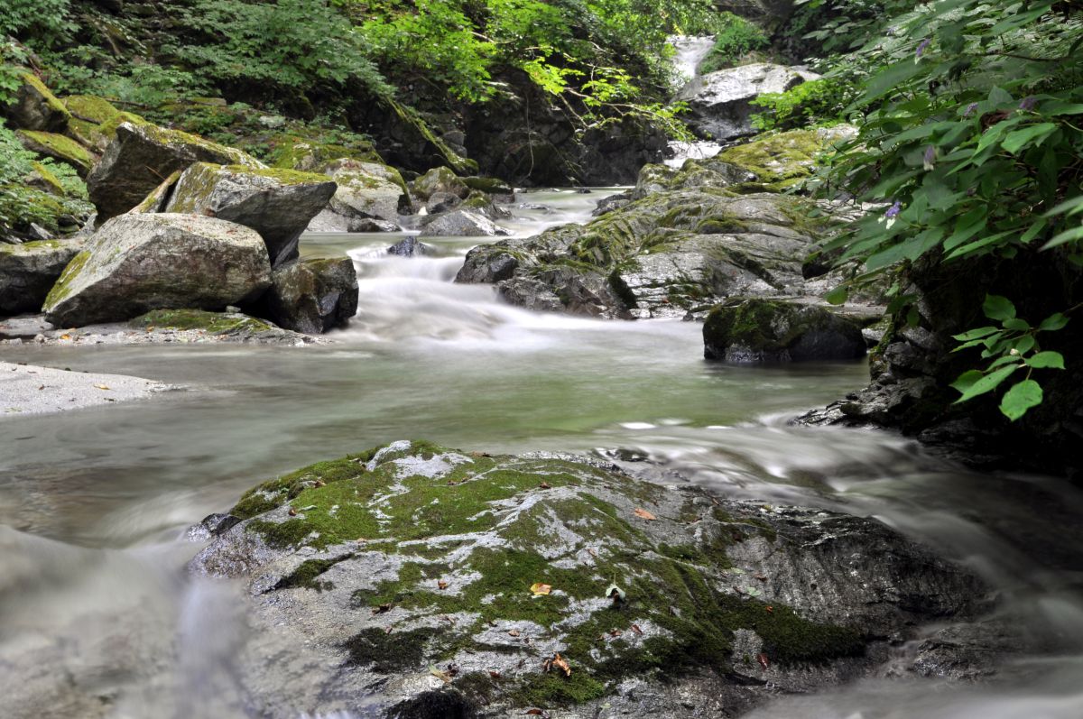 精進ヶ滝の途中#1 | GANREF