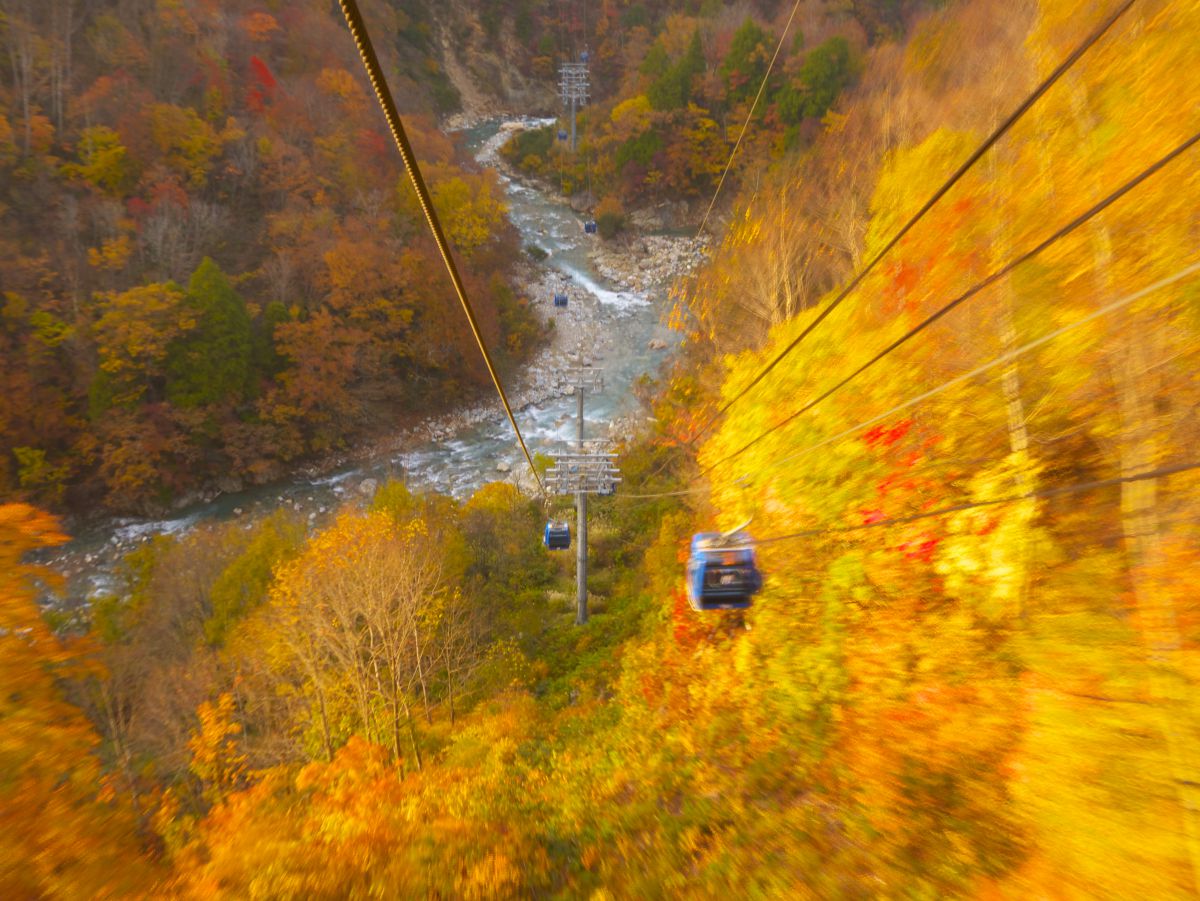 Fall in the Fall | GANREF