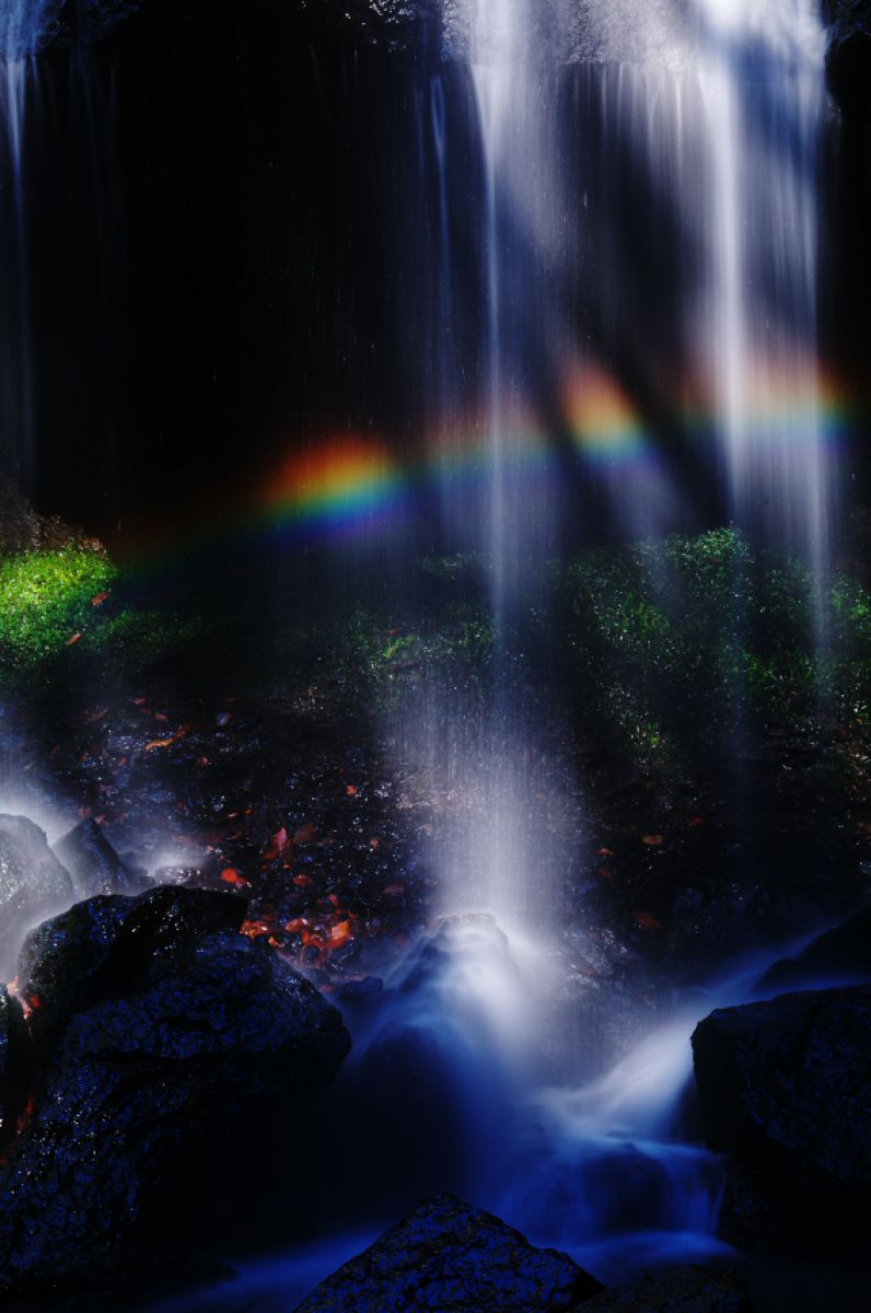 Rainbow Flow. | GANREF