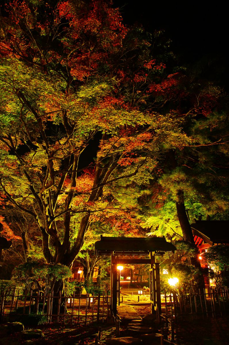 2 Gorgeous 4u -ver.β- | GANREF