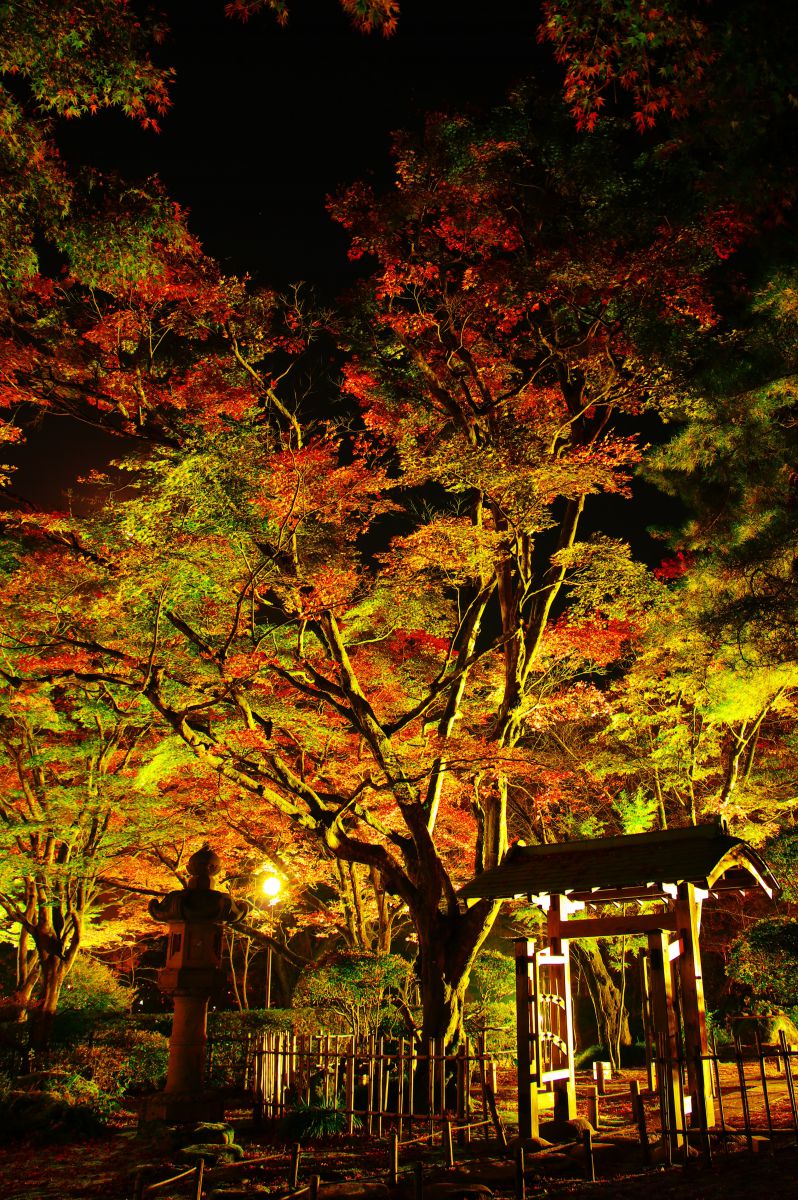 2 Gorgeous 4u -ver.α- | GANREF