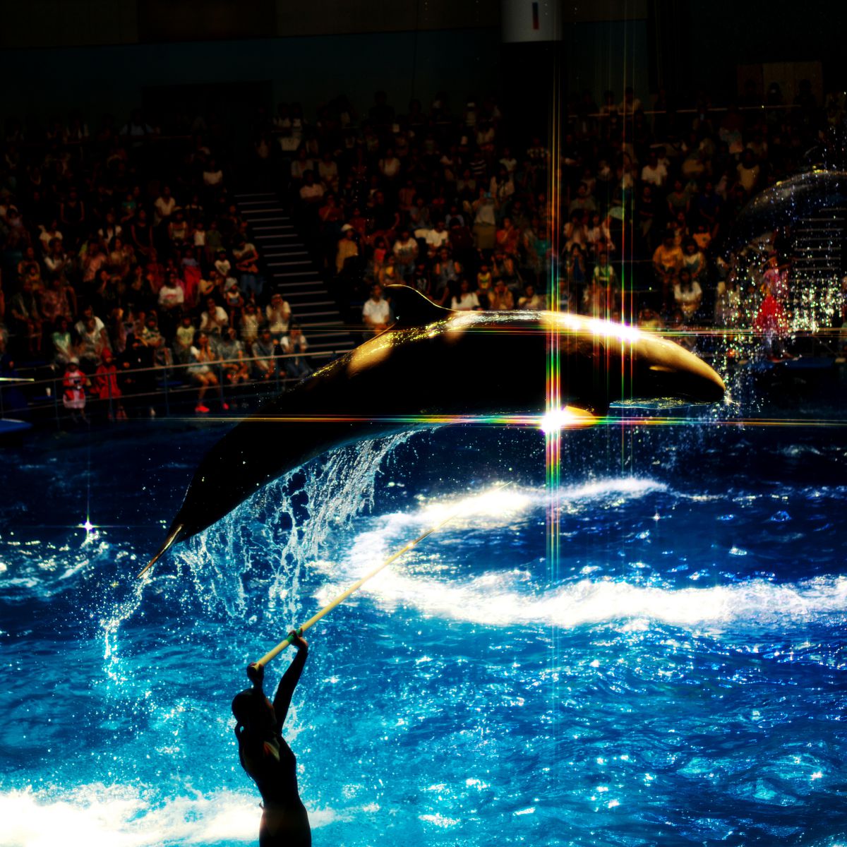 Cross Dive！ | GANREF