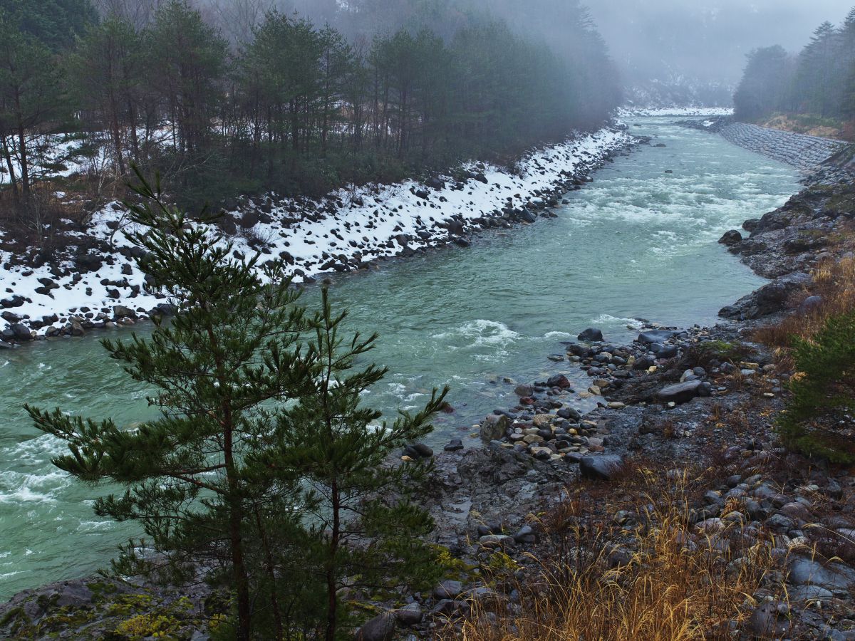 冬から春へ | GANREF