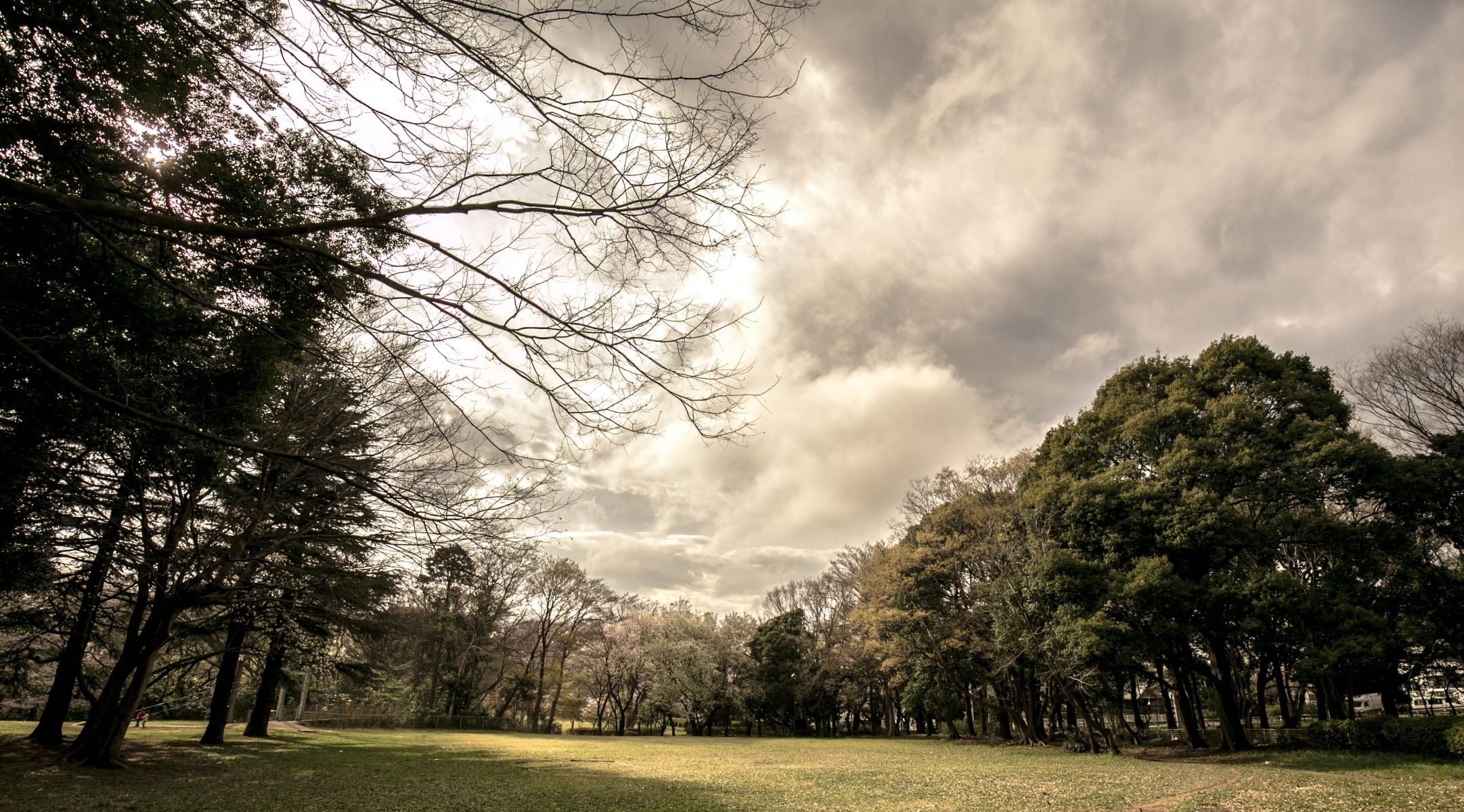 Tomorrow Your Kingdom | GANREF