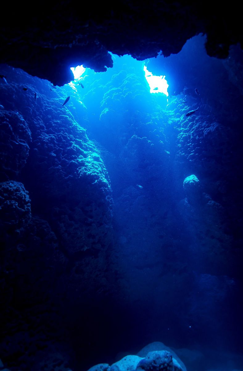 光と影のハーモニー | GANREF