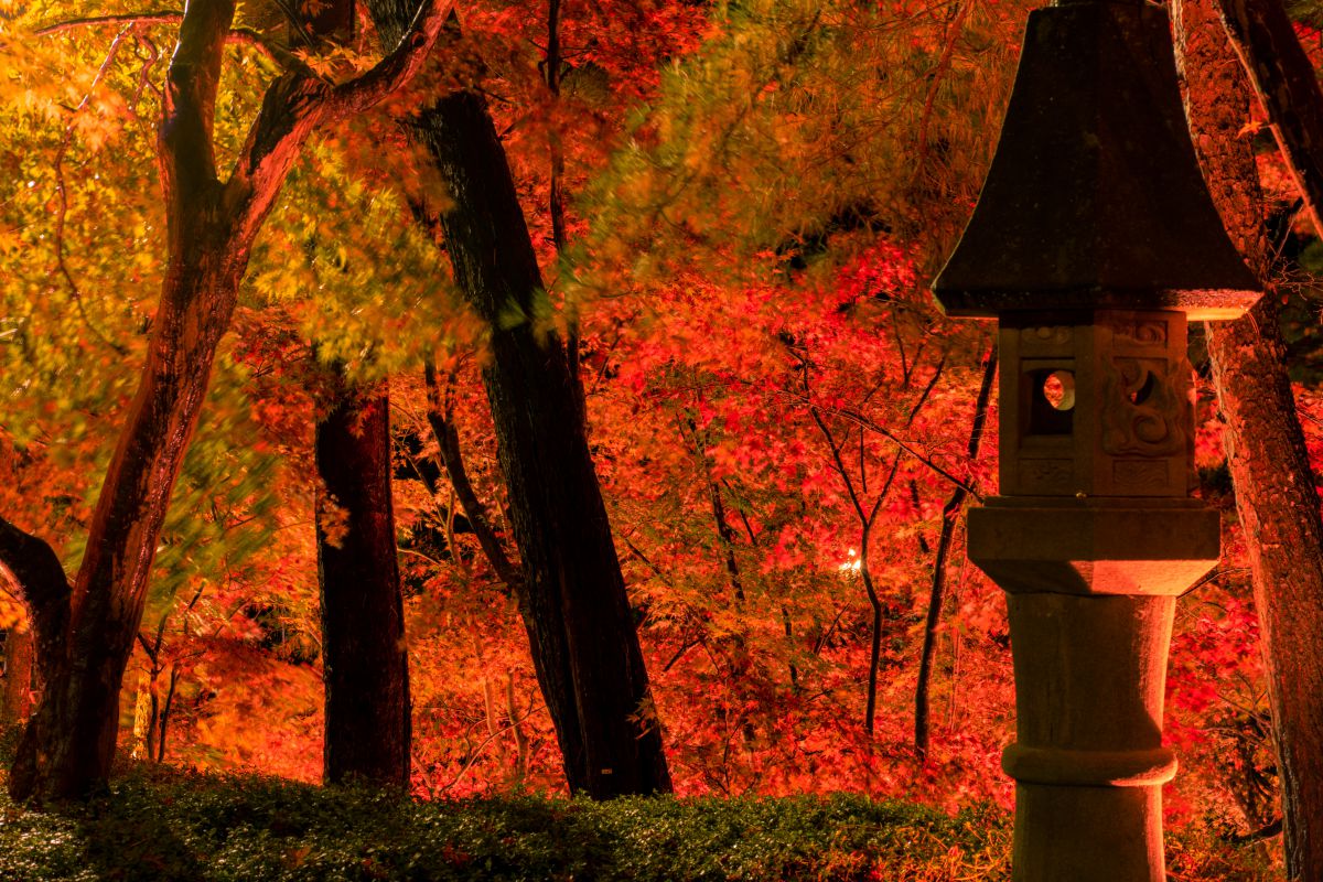 autumn burns red | GANREF