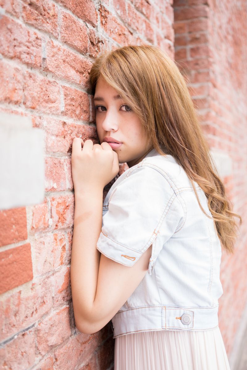 red bricks Ⅳ | GANREF