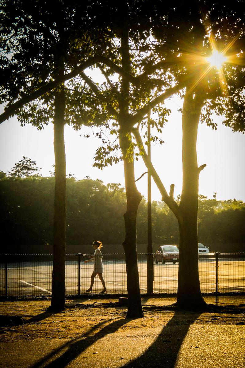 ｷ ﾗ ﾘ、 sunshine | GANREF