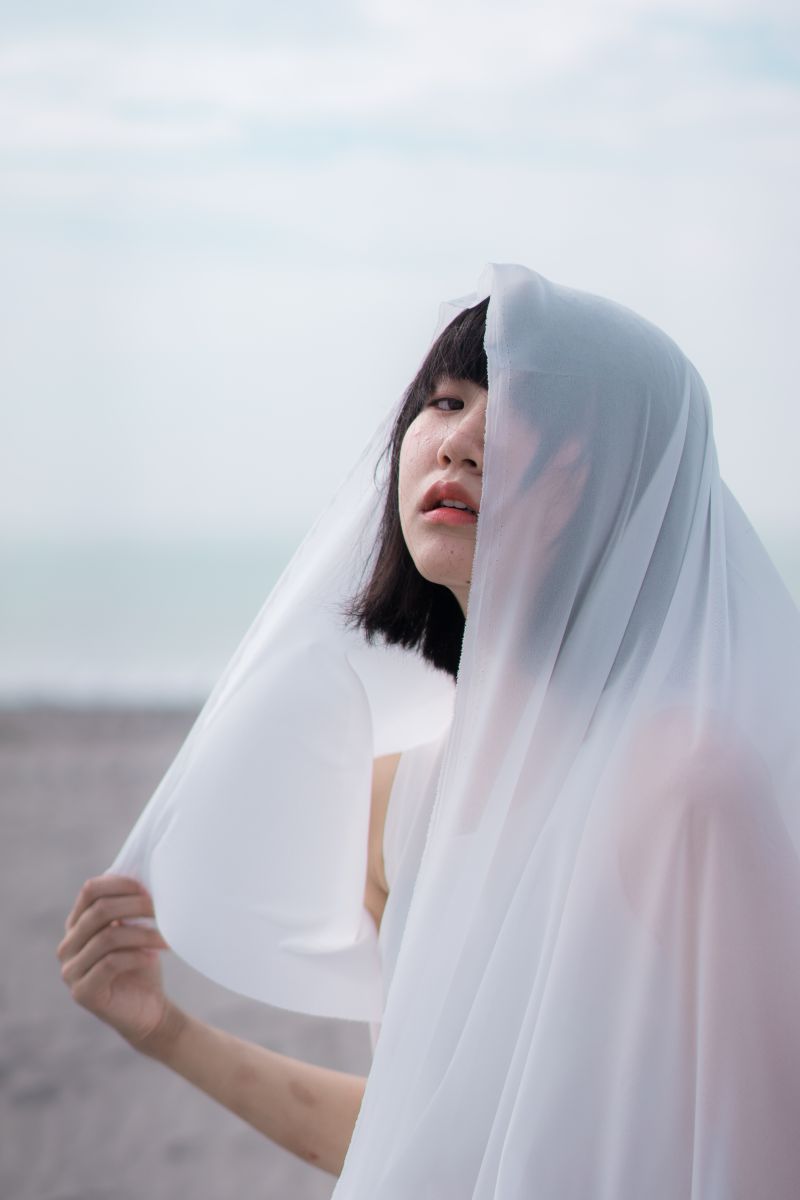 white veil Ⅱ | GANREF