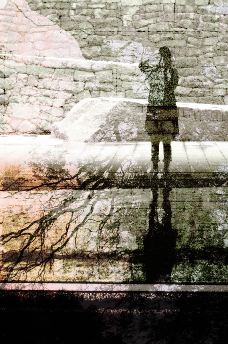 blended scene | GANREF