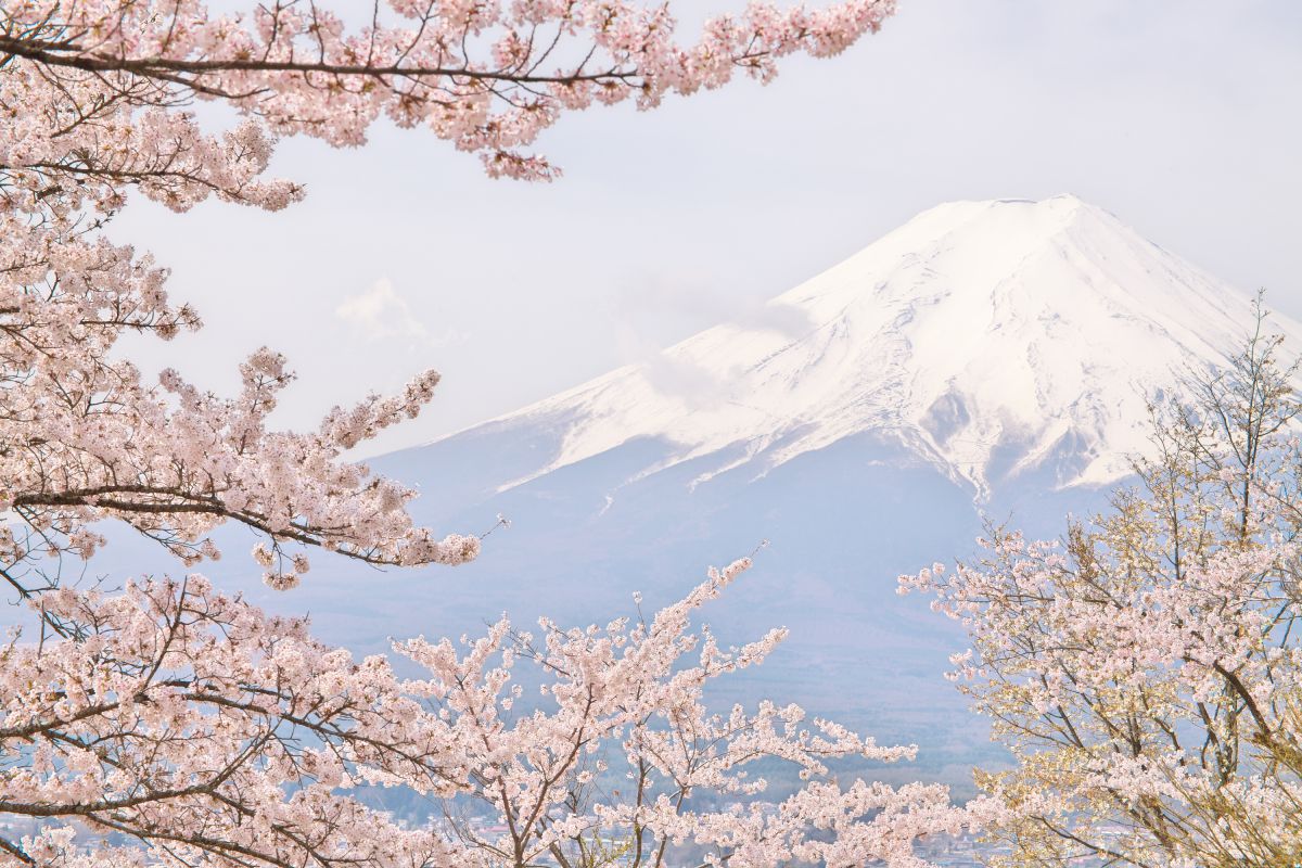 This is Japan | GANREF