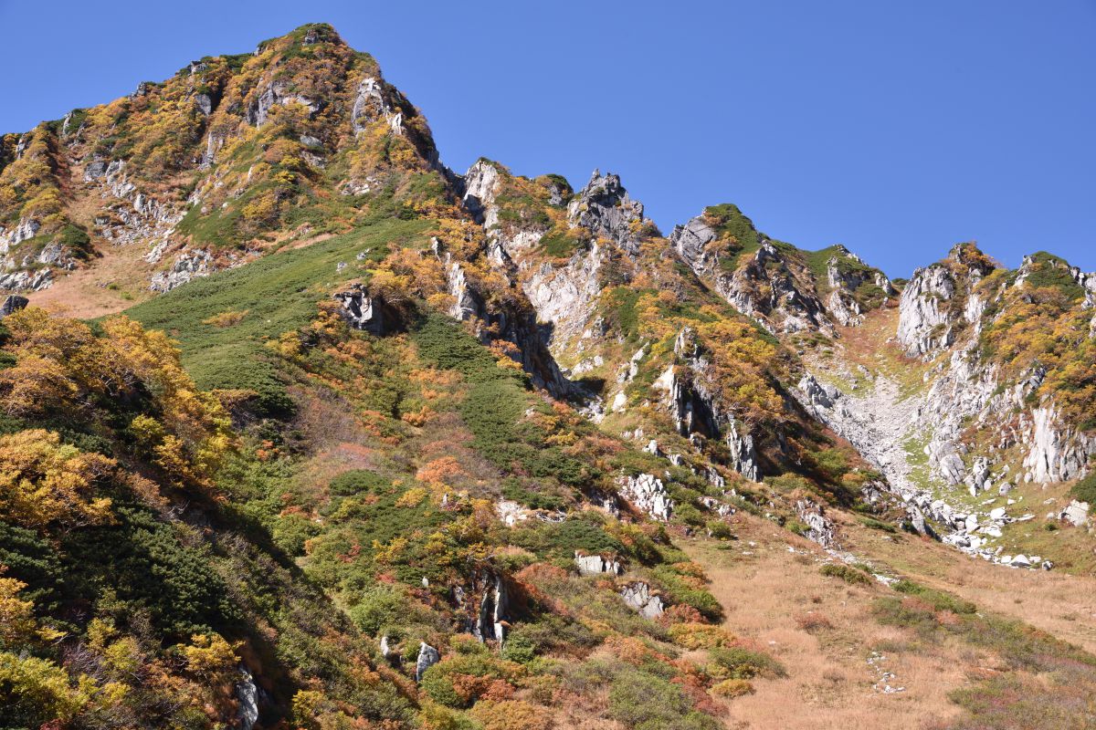 高山青天 | GANREF